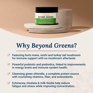 Beyond Greens Super Greens Powder Superfood - Delicious Debloating Green Powder - Matcha Greens Blend Superfood Powder w/ Chlorella, Echinacea, Probiotics for Immune Support & Energy by Live Conscious