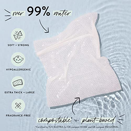 The Honest Company Clean Conscious Wipes | 100% Plant-Based, 99% Water, Baby Wipes | Hypoallergenic, Dermatologist Tested | Rose Blossom, 288 Count