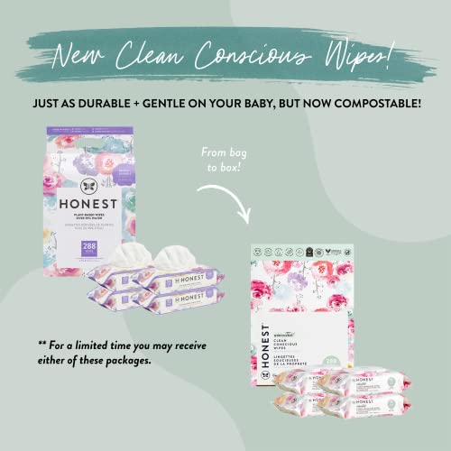 The Honest Company Clean Conscious Wipes | 100% Plant-Based, 99% Water, Baby Wipes | Hypoallergenic, Dermatologist Tested | Rose Blossom, 288 Count