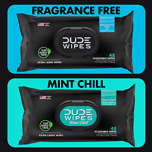 DUDE Wipes Flushable Wipes - 12 Pack, 576 Wipes - Unscented & Mint Chill Combo, Wet Wipes with Vitamin-E & Aloe for at-Home Use - Septic and Sewer Safe