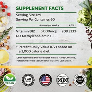 BASIC GREENS Vitamin B12 Sublingual (Vegan) 2 Fl Oz - Methylcobalamin B12 Vitamins 5000 mcg, B12 Liquid, Liquid B12, B12 Drops, Methyl B12, Cherry Flavor