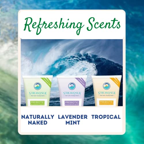 Lavender Mint Prebiotic Intensive Repair Hand Cream | Hydrate, Protect & Moisturize Daily with Antioxidant Rich Reef Safe Natural and Paraben Free Moisturizing Hand Cream | 3 Fl oz by Stream2Sea