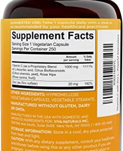 Vitamin C with Zinc (250 Veggie Capsules) - Vitamin C 1000mg and Zinc 20mg with Citrus Bioflavonoids and Rose Hips, Immune Support Supplement and Powerful Antioxidant