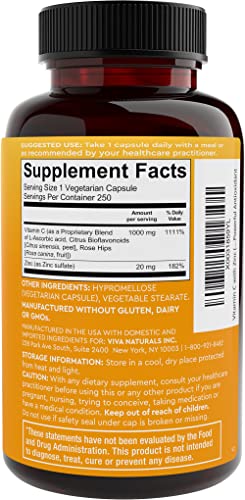 Vitamin C with Zinc (250 Veggie Capsules) - Vitamin C 1000mg and Zinc 20mg with Citrus Bioflavonoids and Rose Hips, Immune Support Supplement and Powerful Antioxidant