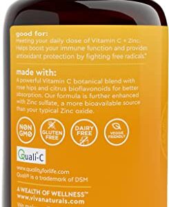 Vitamin C with Zinc (250 Veggie Capsules) - Vitamin C 1000mg and Zinc 20mg with Citrus Bioflavonoids and Rose Hips, Immune Support Supplement and Powerful Antioxidant