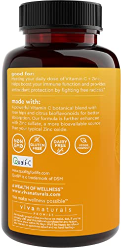 Vitamin C with Zinc (250 Veggie Capsules) - Vitamin C 1000mg and Zinc 20mg with Citrus Bioflavonoids and Rose Hips, Immune Support Supplement and Powerful Antioxidant