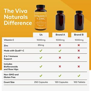 Vitamin C with Zinc (250 Veggie Capsules) - Vitamin C 1000mg and Zinc 20mg with Citrus Bioflavonoids and Rose Hips, Immune Support Supplement and Powerful Antioxidant