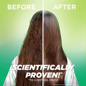 Garnier Fructis Sleek & Shine Anti-Frizz Serum, Frizzy, Dry, Unmanageable Hair, 5.1 fl. Oz (Packaging May Vary)