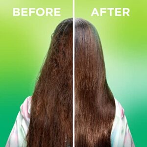 Garnier Fructis Sleek & Shine Moroccan Sleek Oil Treatment, Frizzy, Dry Hair, 3.75 Fl Oz (Packaging May Vary)