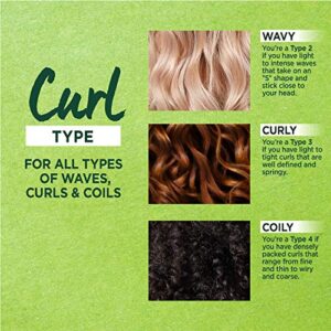 Garnier Fructis Style Curl Renew Reactivating Milk Spray For Curly Hair, 5 Ounce (Packaging May Vary)