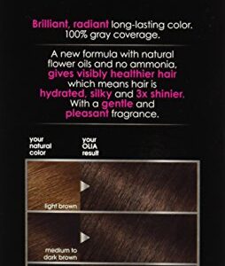 Garnier Hair Color Olia Ammonia-Free Brilliant Color Oil-Rich Permanent Hair Dye, 4.15 Dark Soft Mahogany, 1 Count (Packaging May Vary)