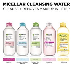 Garnier SkinActive Micellar Water for Oily Skin, Facial Cleanser & Makeup Remover, 13.5 fl. oz, 1 count (Packaging May Vary)