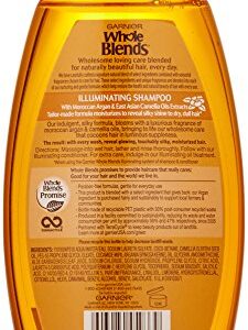 Garnier Whole Blends Shampoo with Moroccan Argan & Camellia Oils Extracts, 12.5 fl. oz.