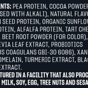 Vega Sport Premium Vegan Protein Powder Chocolate (19 Servings) 30g Protein, 5g BCAAs, Low Carb, Keto, Dairy/ Gluten Free, Non GMO, Pea Protein for Women & Men, 1.8 lbs (Packaging May Vary)