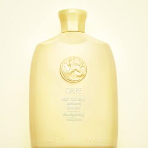 Oribe Hair Alchemy Resilience Shampoo, 8.5 fl. oz.