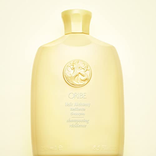 Oribe Hair Alchemy Resilience Shampoo, 8.5 fl. oz.