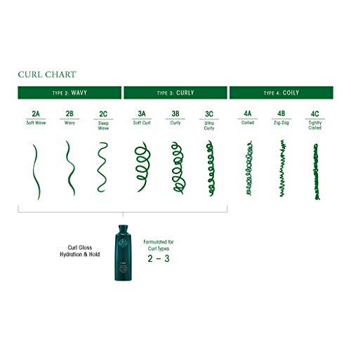 Oribe Curl Gloss Hydration & Hold , 5.9 Fl Oz (Pack of 1)