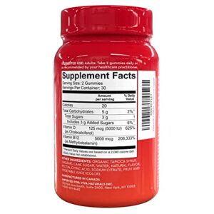 Vitamin B12 5000mcg and Vitamin D3 5000 IU Gummies, 60 Count | Delicious Fruit Punch Flavor, Vitamin D and Methyl B12 Vitamins for Energy and Immune Support