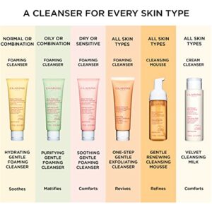 Clarins Purifying Gentle Foaming Cleanser | Cleanses, Purifies and Mattifies | Green Formula and Contains Salicylic Acid | Soap-Free | SLS-Free | Dermatologist Tested | Combination To Oily Skin Types