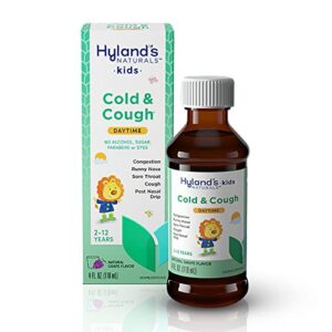 Hyland's Cold Medicine for Kids Ages 2+ by Hylands, Daytime for Cough, Decongestant, Allergy Symptom Relief, 4 Fl Oz