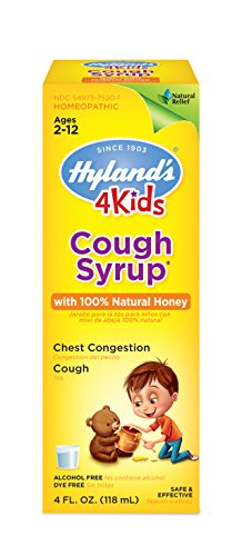 Cough Syrup for Kids Ages 2+ 100% Honey for Kids by Hyland's, Decongestant, Natural Relief of Cough and Chest Congestion, 4 Fl Oz