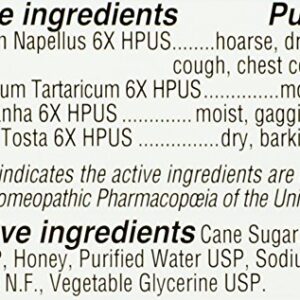 Cough Syrup for Kids Ages 2+ 100% Honey for Kids by Hyland's, Decongestant, Natural Relief of Cough and Chest Congestion, 4 Fl Oz