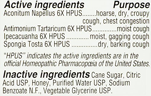 Cough Syrup for Kids Ages 2+ 100% Honey for Kids by Hyland's, Decongestant, Natural Relief of Cough and Chest Congestion, 4 Fl Oz