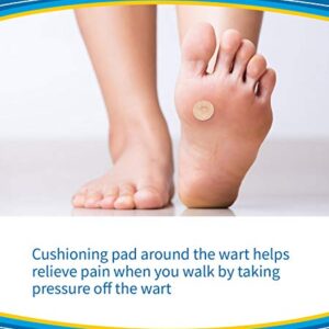 Dr. Scholl’s Clear Away Plantar Wart Remover for Feet, 24 Medicated Discs & 24 Cushioning Pads // Maximum Strength Without A Prescription