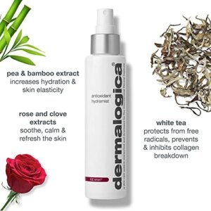 Dermalogica Antioxidant Hydramist Toner Anti-Aging Toner Spray for Face that helps Firm and Hydrate Skin - For Use Throughout the Day, 5.1 Fl Oz