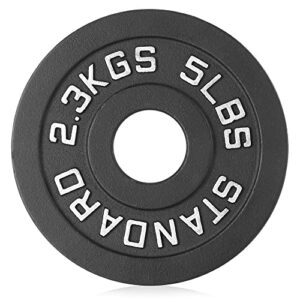 Philosophy Gym Standard Cast Iron Olympic 2-inch Weight Plate, 5 LB, Single Weight Plate