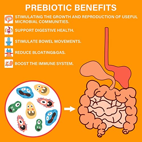 Probiotics with Prebiotics for Men and Women - 35 Strains Organic Probiotic 100 Billion CFU for Gut & Digestive Health, Vegan Acidophilus Probiotic Supplement, Non-GMO Raw Probiotic 60 Capsules