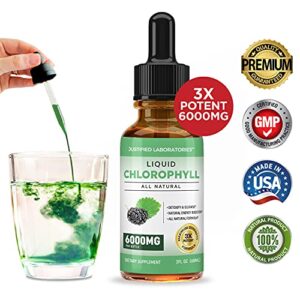 (10 Pack) Liquid Chlorophyll Drops Maximum Strength 6000MG Concentrate Packed Antioxidants Minerals and Vitamins 120 Servings Per Bottle