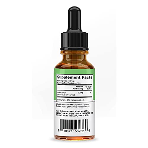 (2 Pack) Liquid Chlorophyll Drops 6000MG Maximum Strength Green Concentrate Packed with Antioxidants Minerals and Vitamins 2 FL OZ Bottle (2 Bottles)