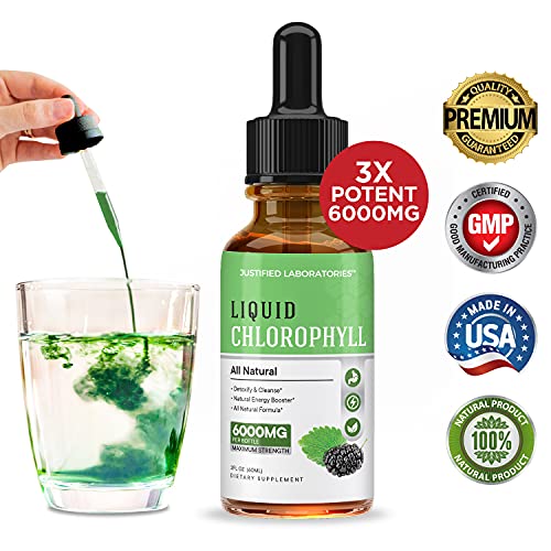 (2 Pack) Liquid Chlorophyll Drops 6000MG Maximum Strength Green Concentrate Packed with Antioxidants Minerals and Vitamins 2 FL OZ Bottle (2 Bottles)