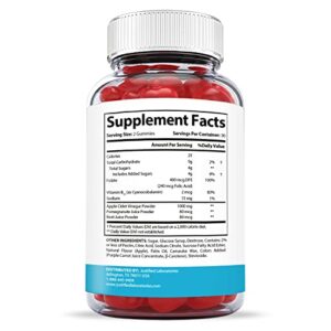 Justified Laboratories (10 Pack) Keto 24/7 Gummies 1000MG ACV with Pomegranate Juice Beet Root B12 600 Gummys