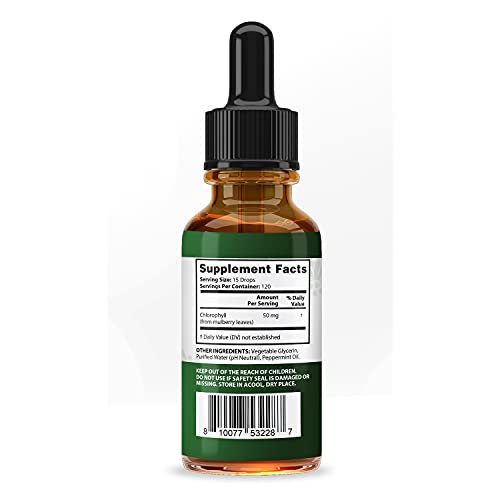 (3 Pack) Liquid Chlorophyll Drops Maximum Strength 6000MG Fast Absorbing All Natural Green Concentrate Supplement Loaded with Antioxidants Minerals Multivitamins 2 FL Oz