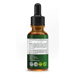 (3 Pack) Liquid Chlorophyll Drops Maximum Strength 6000MG Fast Absorbing All Natural Green Concentrate Supplement Loaded with Antioxidants Minerals Multivitamins 2 FL Oz