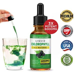 (3 Pack) Liquid Chlorophyll Drops Maximum Strength 6000MG Fast Absorbing All Natural Green Concentrate Supplement Loaded with Antioxidants Minerals Multivitamins 2 FL Oz