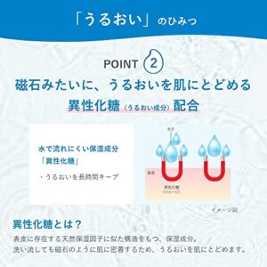 Hadalabo Japan Gokujyun Hyaluronic Acid Moisture Bubble Foaming Cleanser (160ml) 2set