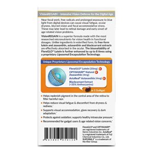 LABO Nutrition VisionREGAIN - Smart Liposomal Delivery, up to 8X Higher Absorption, 20mg FloraGLO Lutein, zeaxanthin, Superba Krill, AstaReal Astaxantin, Supports Vision Health, Blue Light Protection