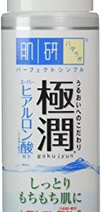 Hada Labo Rohto Gokujyn Hyaluronic Acid Lotion, 170ml