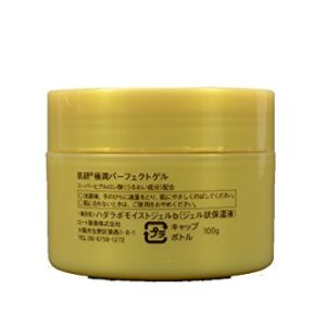 Hada Labo Rohto Gokujun Perfect Gel, 100g