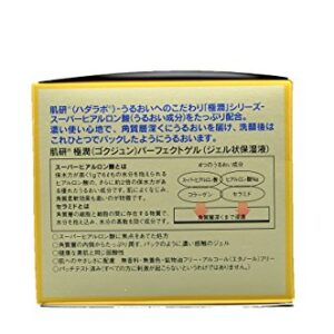 Hada Labo Rohto Gokujun Perfect Gel, 100g