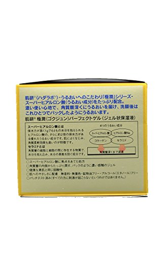 Hada Labo Rohto Gokujun Perfect Gel, 100g