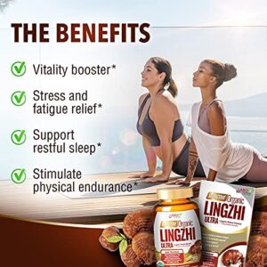 LABO Nutrition Bioactive Organic Lingzhi / Reishi Ultra for Immune Support, Vitality, USDA Organic, 7 Medicinal Mushroom Supplement, Cordyceps, Maitake, Turkey Tail, Agaricus blazei Murill, Shiitake