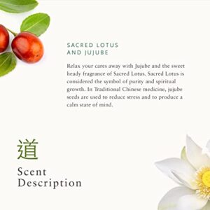 RITUALS Jing Calming Parfum d'Interieur - Home Perfume & Room Spray with Sacred Lotus & Jujube - 16.9 Fl Oz