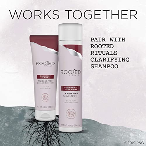 Rooted Rituals - Ginger Root and Aloe - Conditioner, 8.4 fl oz