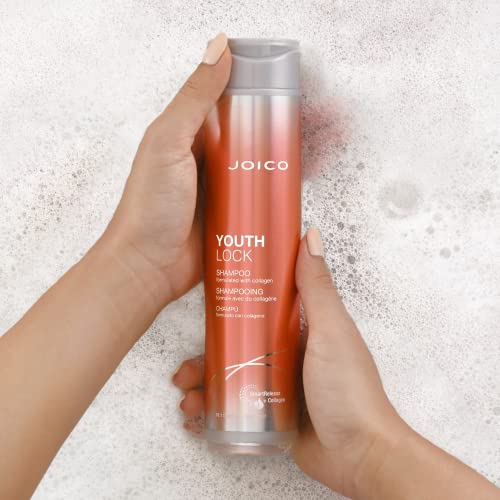 YouthLock Shampoo Formulated With Collagen | Youthful Body & Bounce | Reduce Breakage & Frizz | Soften & Detangle Hair | Boost Shine | Sulfate Free | With Arginine | 10.1 Fl Oz