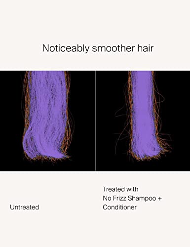 Living proof No Frizz Shampoo + Conditioner Bundle