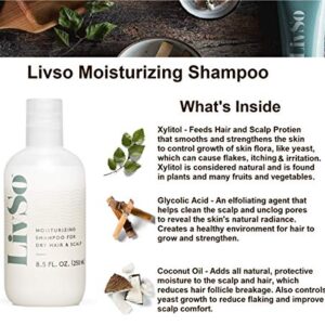 LivSo Moisturizing Shampoo - Dermatologist Created - Moisturizes Hair & Scalp - Naturally Derived - Fresh Feel Product - A Little Bit of LivSo Goes a Long Way